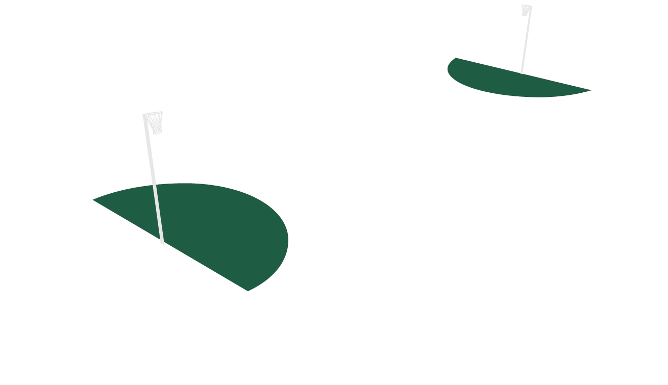 Netball - Prestige Sport Surfaces